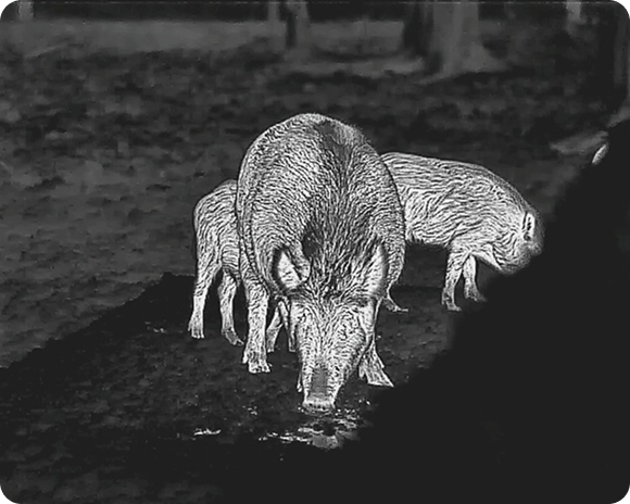 Thermal Monocular | Zentron